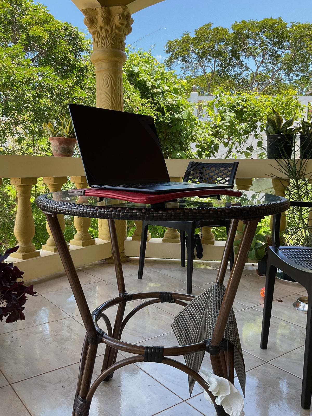 You Just Want to Write. You want to be… | by diana swezy | ILLUMINATION ...
