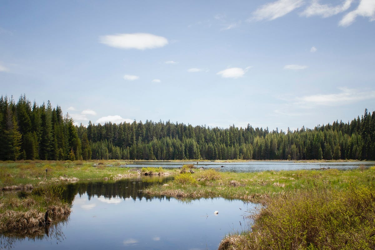 What is a Data Pond?. And why it’s just a Step towards a Data… | by ...
