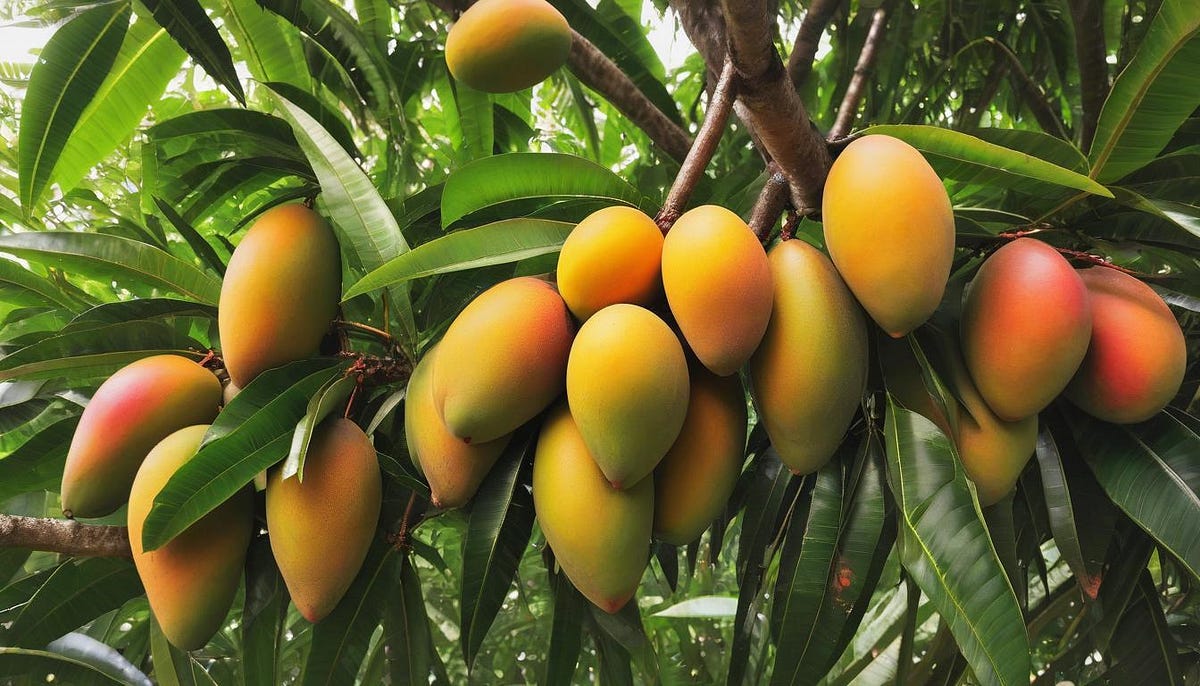 Mango Madness: 10 Quotes to Celebrate the King of Fruits! ☀️ | by ...
