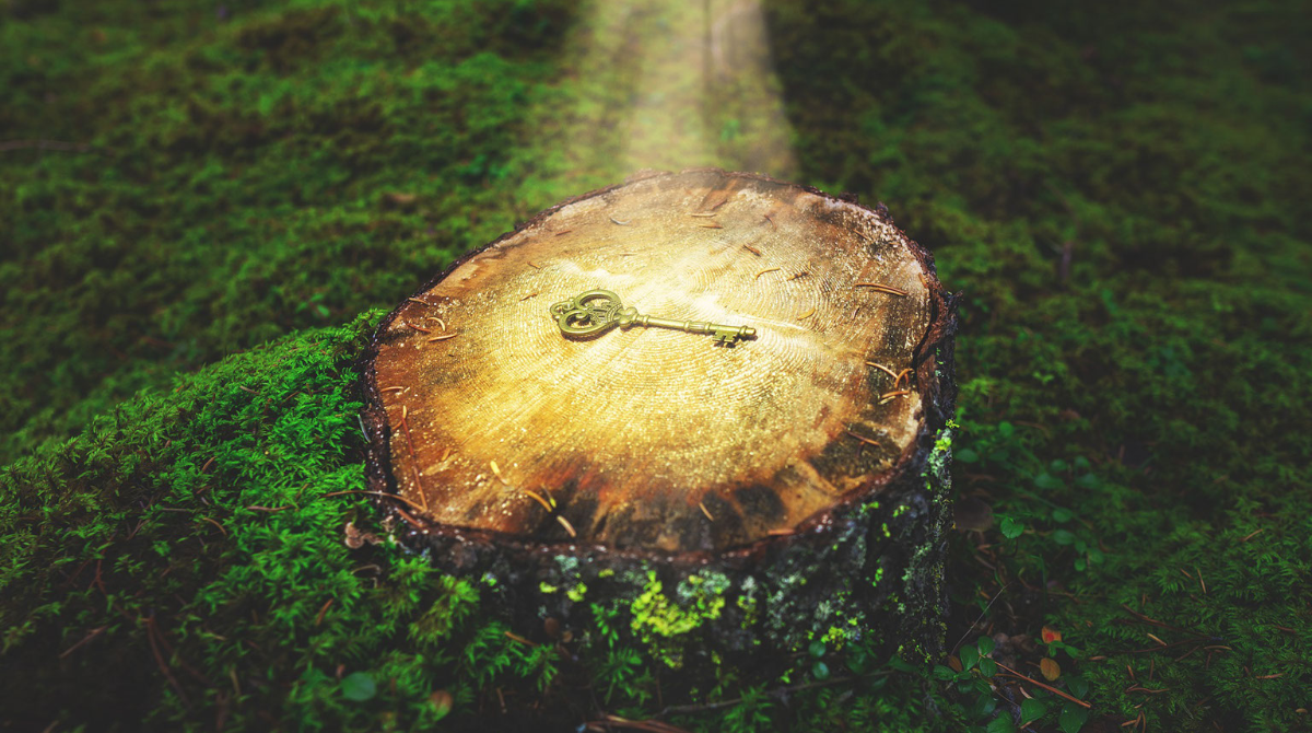 Being Indispensable. there is only one you | by David August ...
