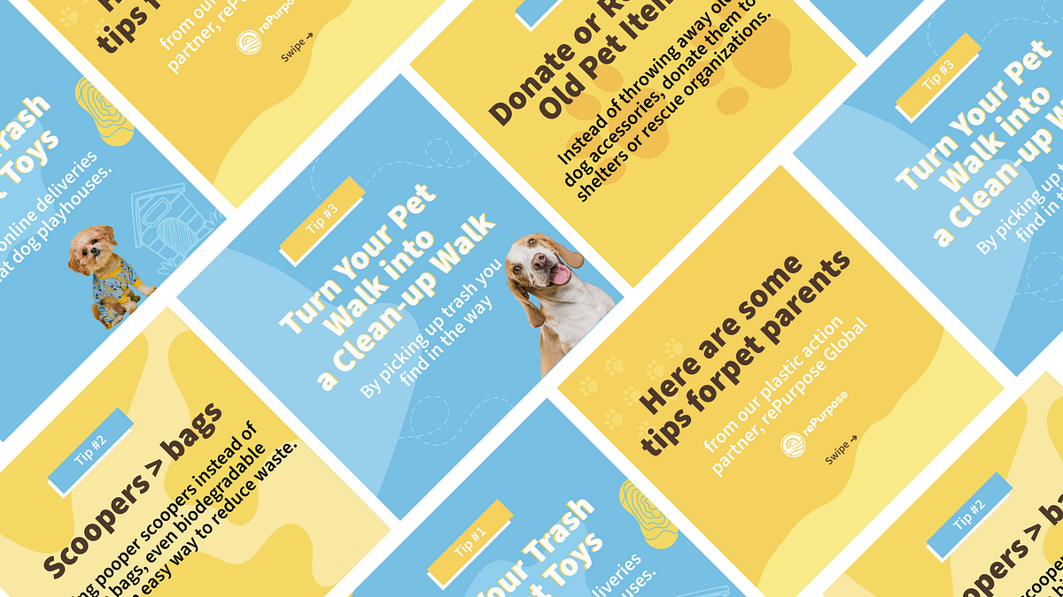 Designing for Sustainability: Social Media Campaign for Cookie Pal by ...