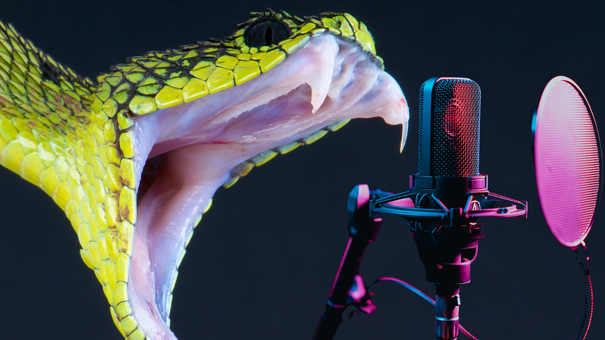 Hiss Hiss Boom: Unpacking Hip-Hop Herstory and Megan Thee Stallion’s ...