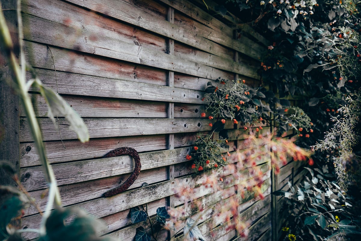 Sadness: A Wall Between Two Gardens | by Deborah Christensen | Medium