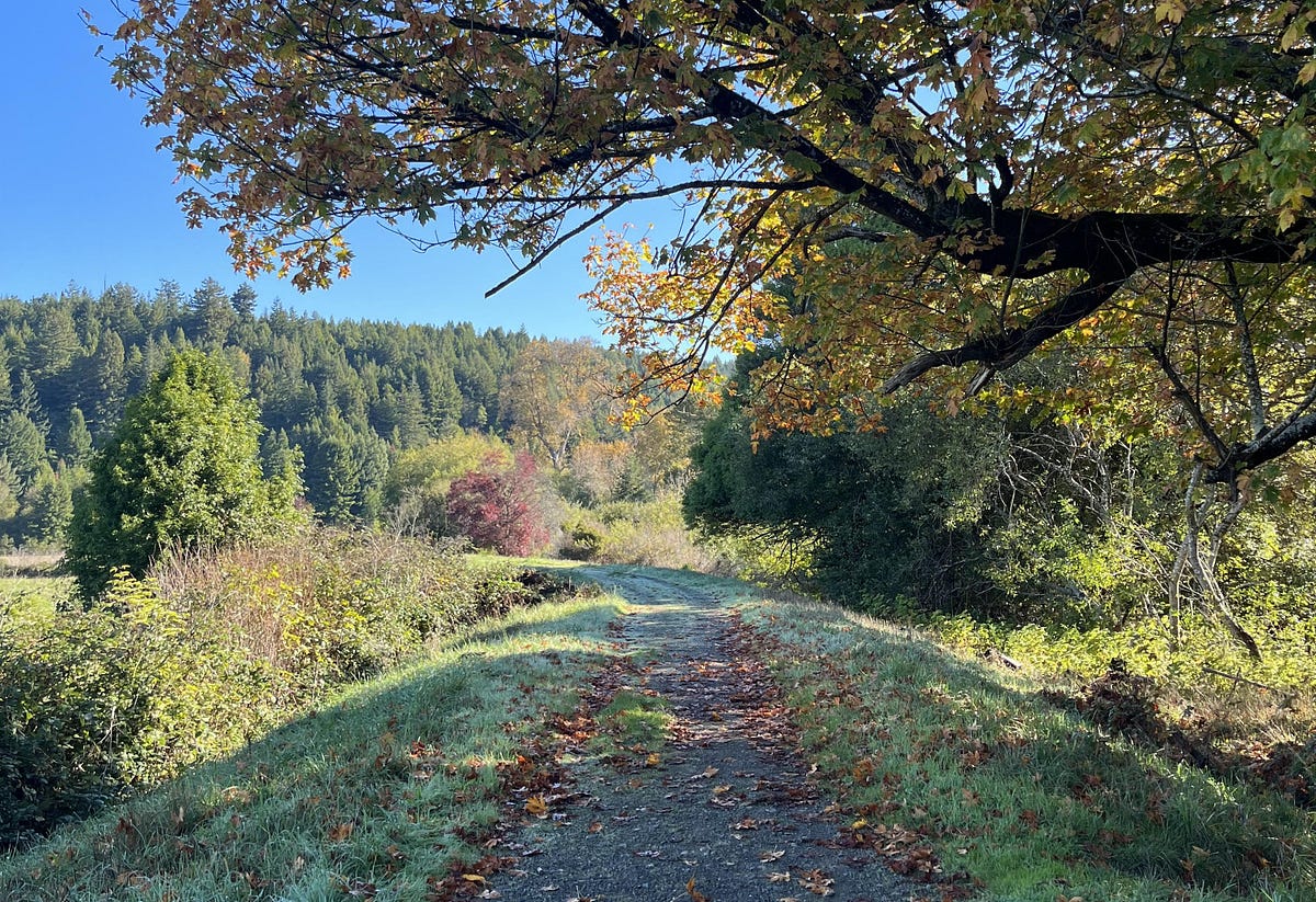 Iteration And Looping In Javascript By Meaghan Sharrard Medium