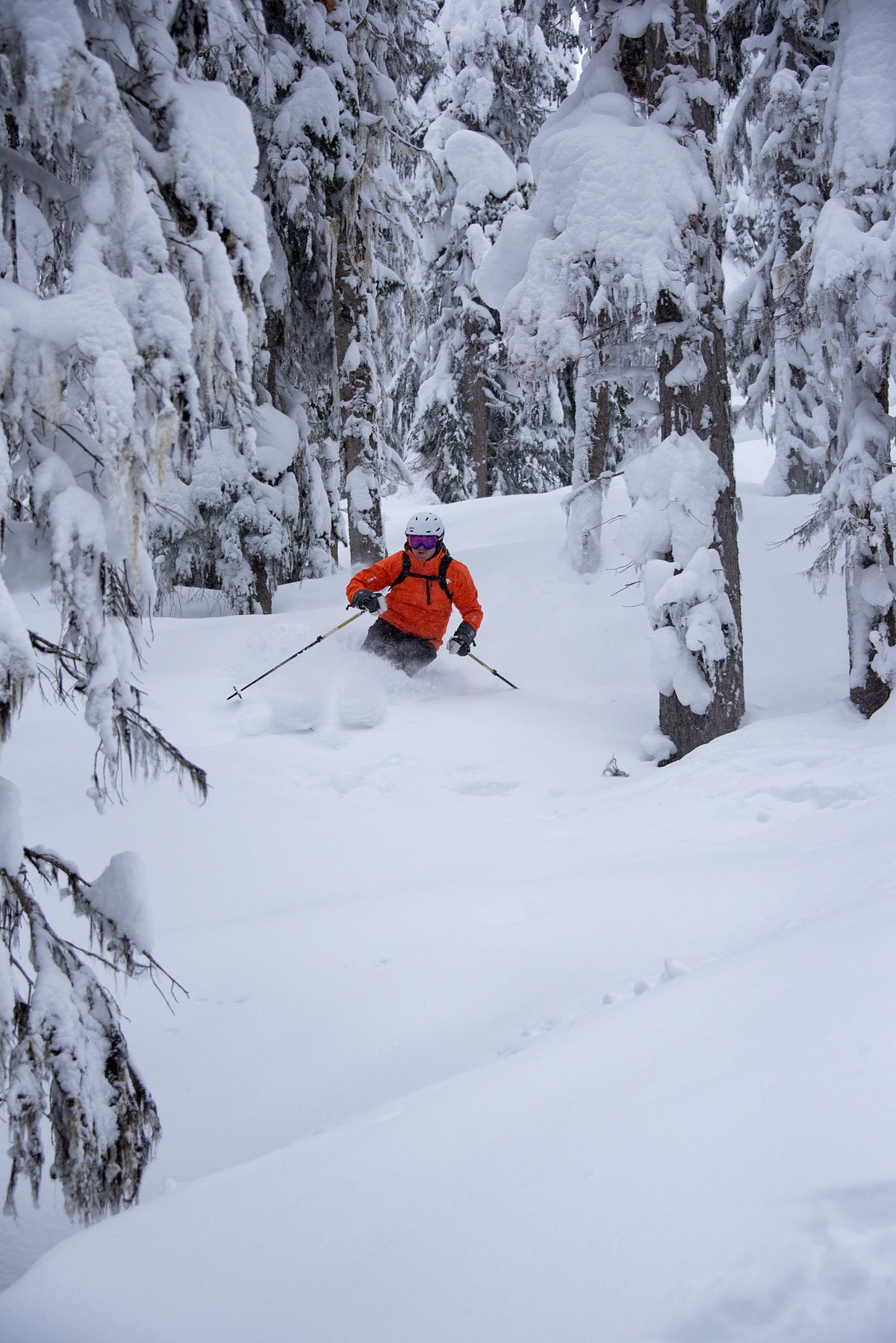 Why Mustang Cat Skiing is Needed: A Guide to an Epic Adventure | by ...