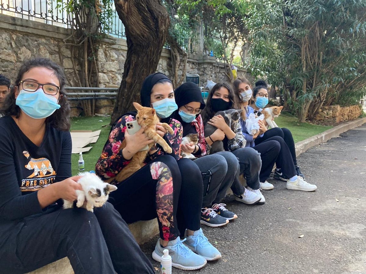 LAU’S ANIMAL CARE CLUB STRUGGLES THROUGH FINANCIAL CRISIS | by Reine ...