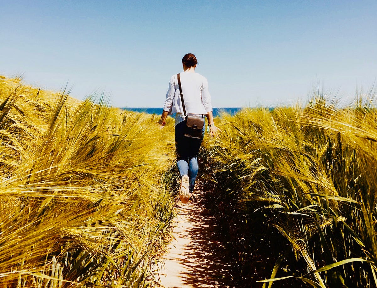 Learning About The Present Moment Is Like Walking with Tunnel Vision ...