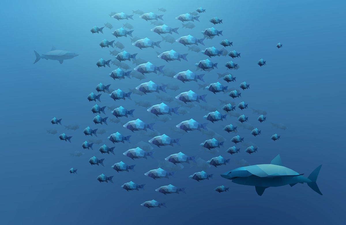 1 year, 7 articles—the evolution of one (nature) brand’s content ...