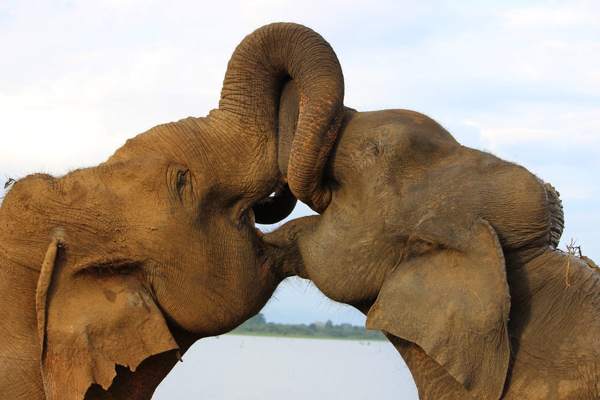 Setting Up Replication In Postgresql With Pglogical By Naveed Ahmed