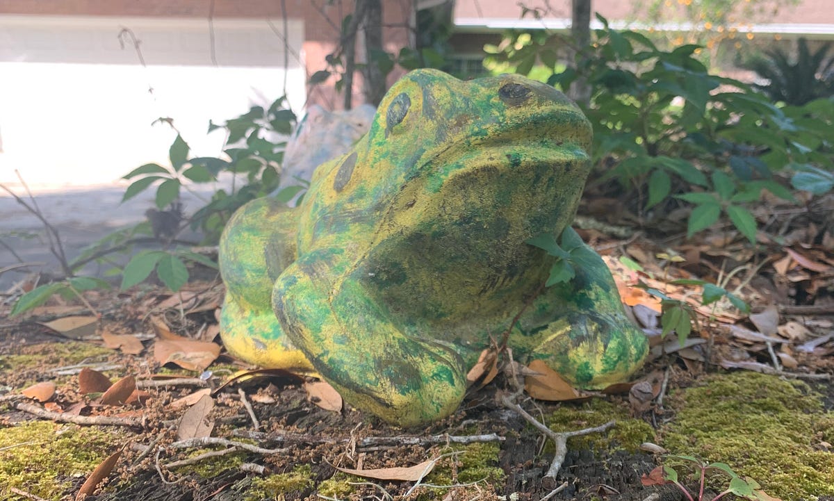 The Mandarin Frog Man Is The Only Man Who Really “Gets It” | by Elsie ...