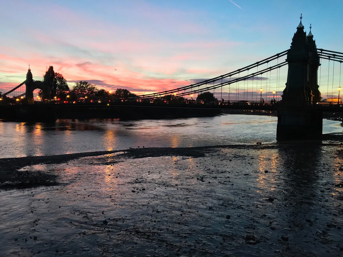 From burnout to marathon in 12 months | by Amber Coster | My Meandering ...