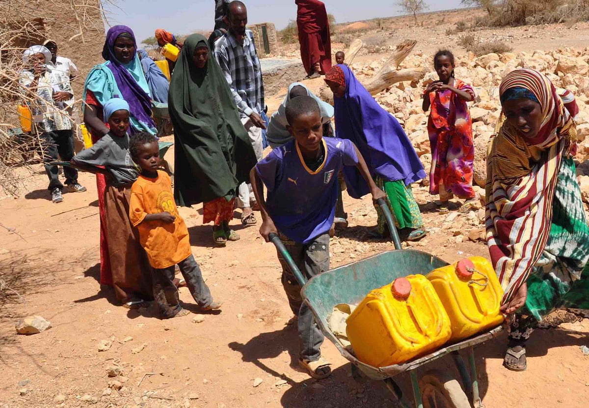 Anomaly Detection with Isolation Forest | by Tech Future | Medium