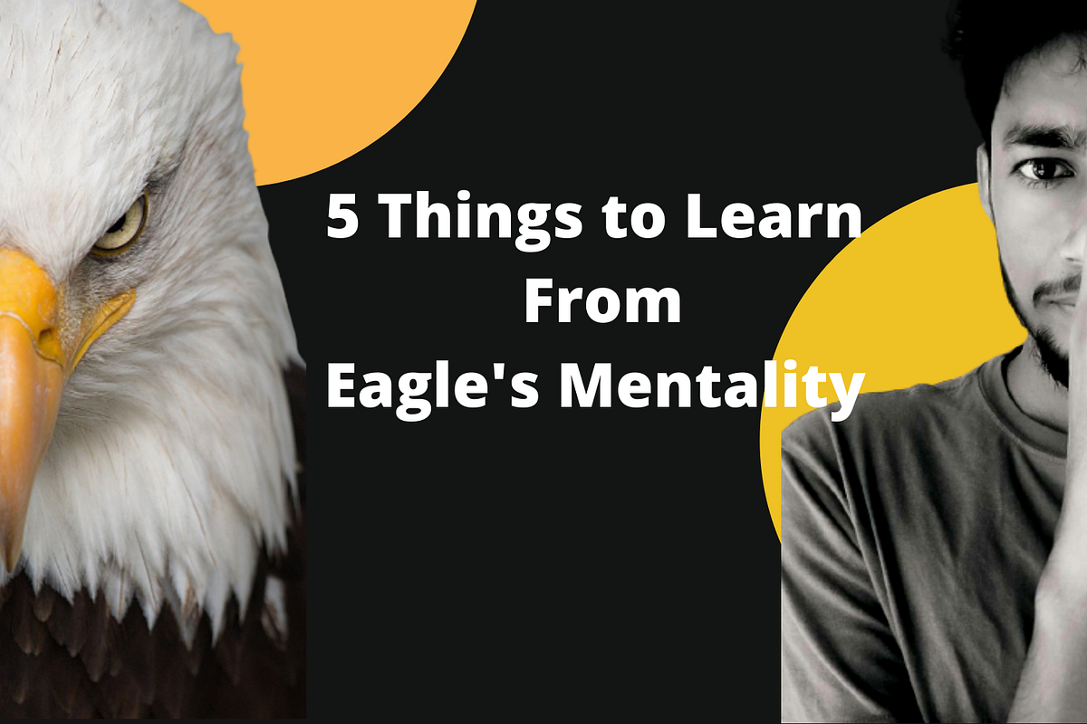 5 Things to Learn From Eagle’s Mentality | by Satya Prakash Mourya | Medium