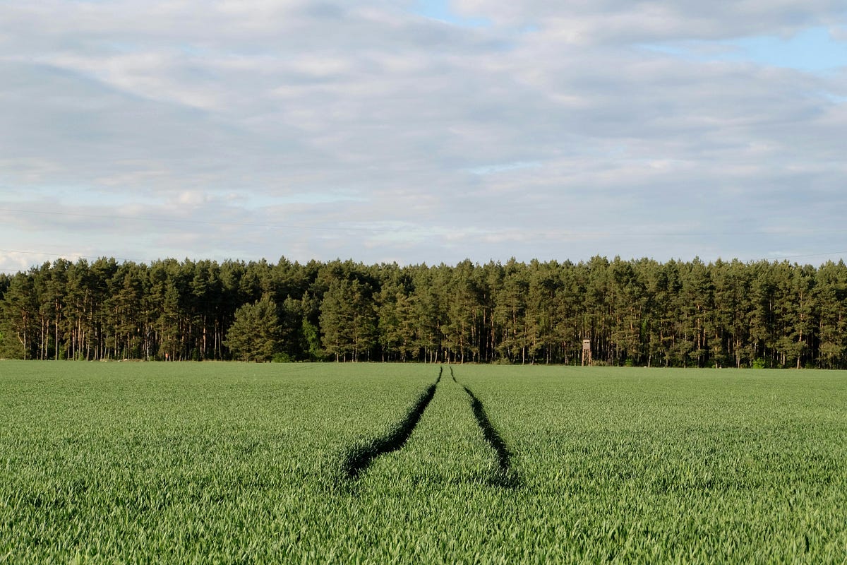 Reasons Why I Like Python. The different look on coding after… | by ...