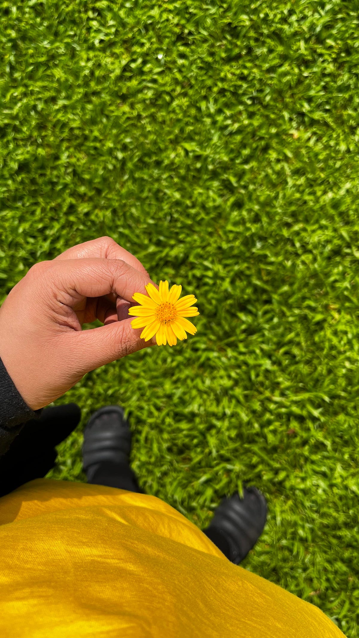 I was a Lost Butterfly Until I Found My Perfect Flower- Digital ...