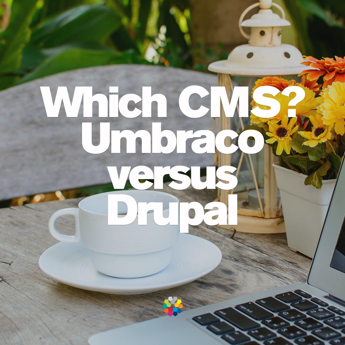 Which CMS? Umbraco versus Drupal. If you’re looking to upgrade your… | by iFactory | Medium