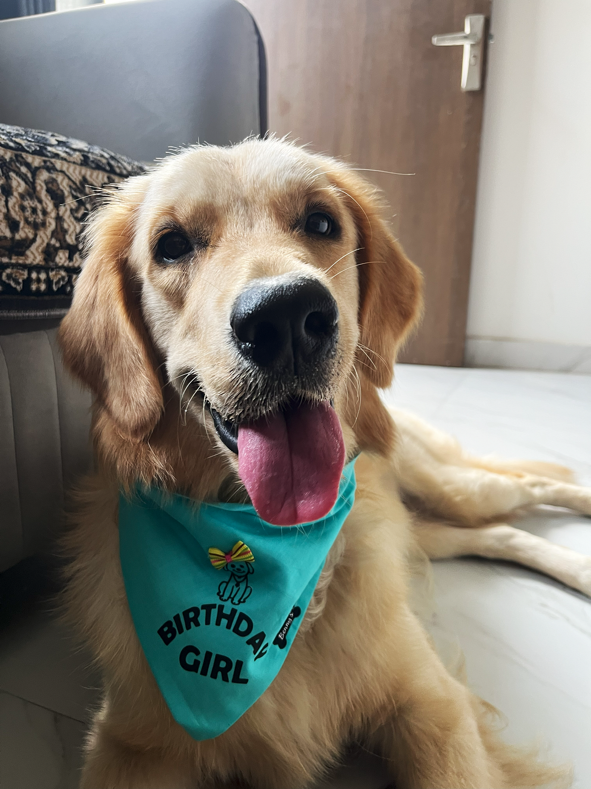 10 Cute Reasons I Love My Dog More Than Anything In This World | by ...
