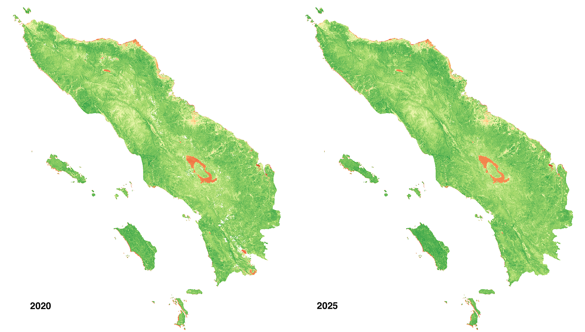 North Sumatra and Aceh Deforestation Analysis — Part 1 🌳 | by Novie ...