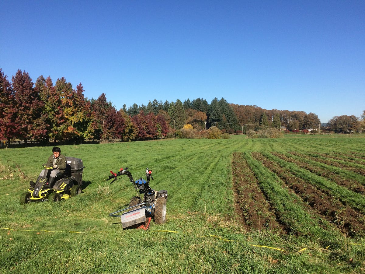 How to Earn Money in 100 Days on a Farm: A Startup Farm Strategy | by ...