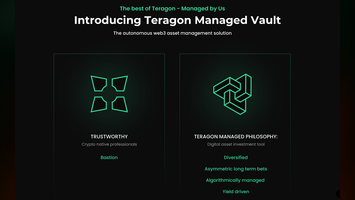 Teragon Launch. Hey Everyone! | by Teragon | Teragon.io | Medium