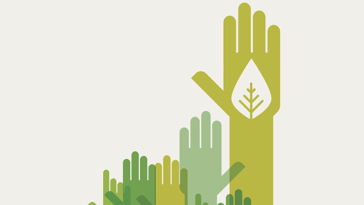 GREEN ELECTION IN INDIA. For the first time in its history… | by Dhyeya ...