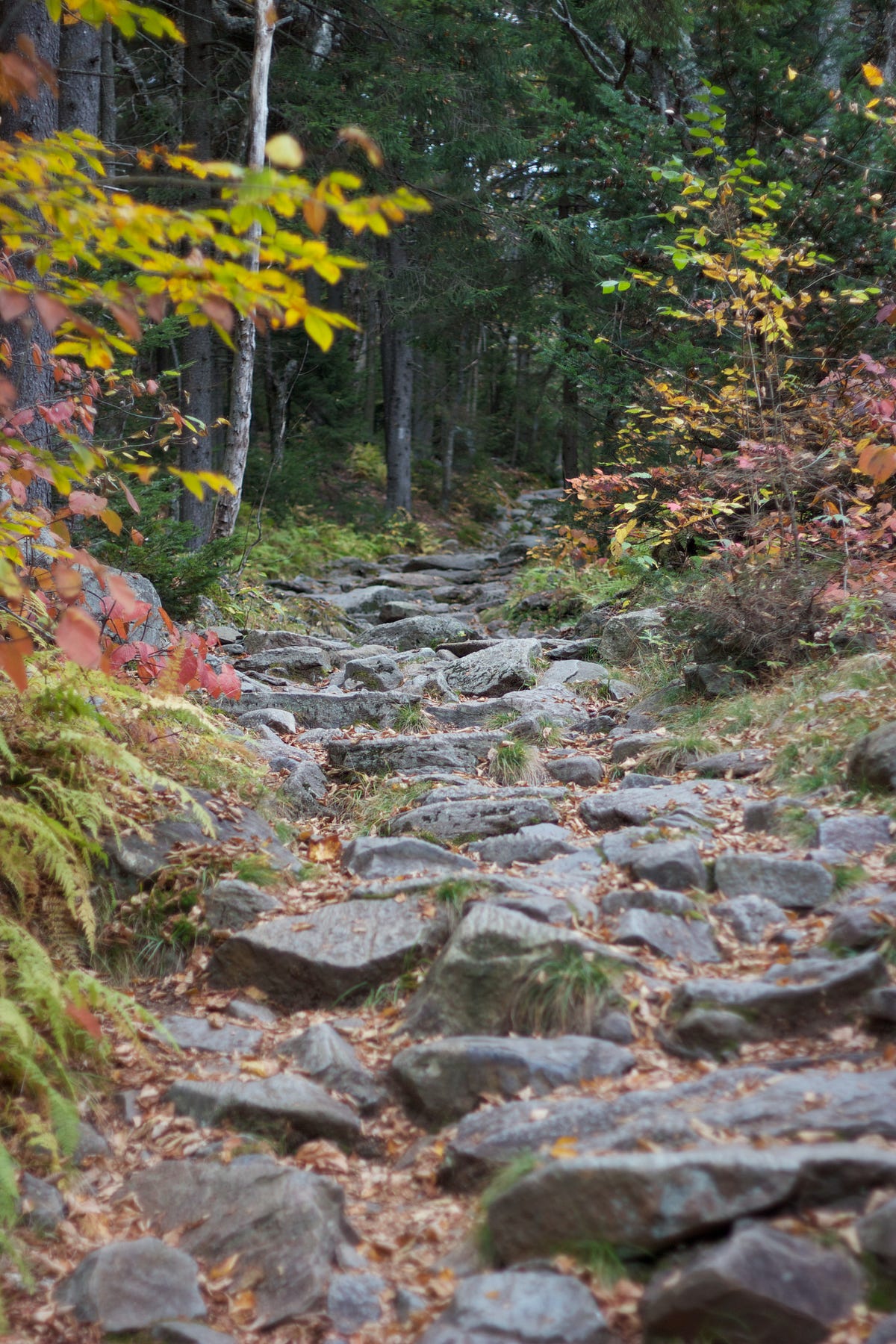 Good Things Take Time. A few weeks ago, I stepped into my… | by Krysta Scripter | Medium
