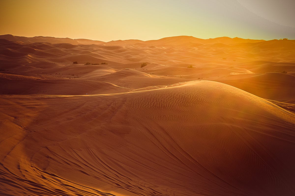 Unearthed Beauty: 7 Deserts That Aren’t the Sahara | by EaseMyTrip | Medium