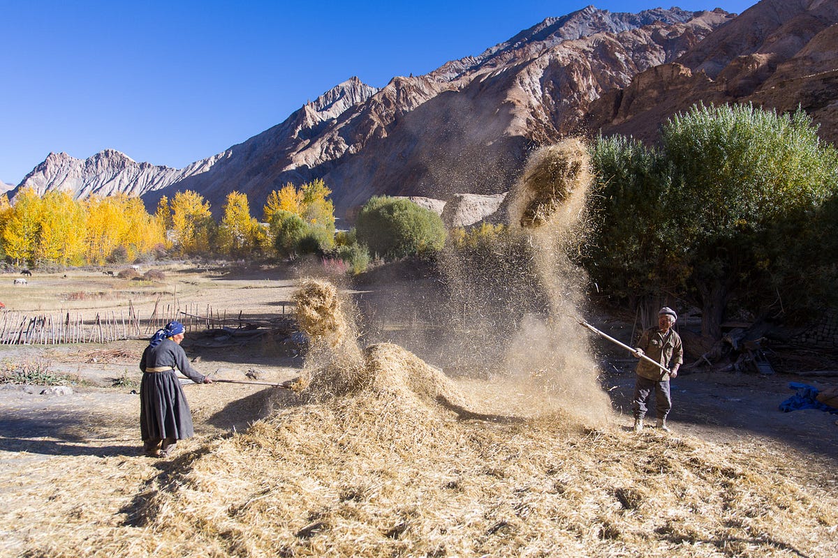 The whistling old couple of Markha Valley | by Jai Pandya | Medium