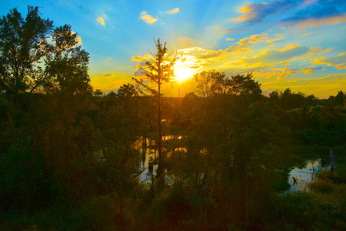A Reflection on a Photo. September Six Word Photo Story… | by Mia ...