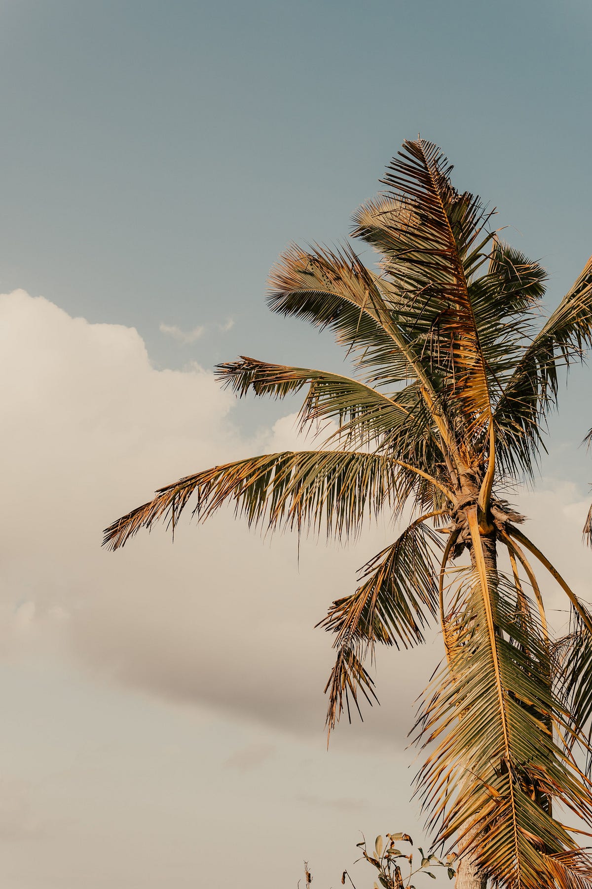 9 Things Every Highly Successful Person Accomplishes Before Anyone Else ...