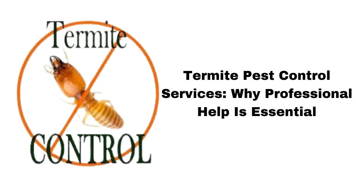 Termite Pest Control Services: Why Professional Help Is Essential | by ...