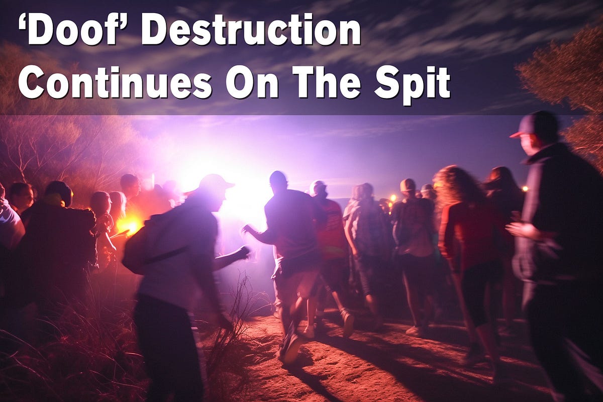 Illegal Doof Party Destroys Littoral Rainforest on the Gold Coast | by ...