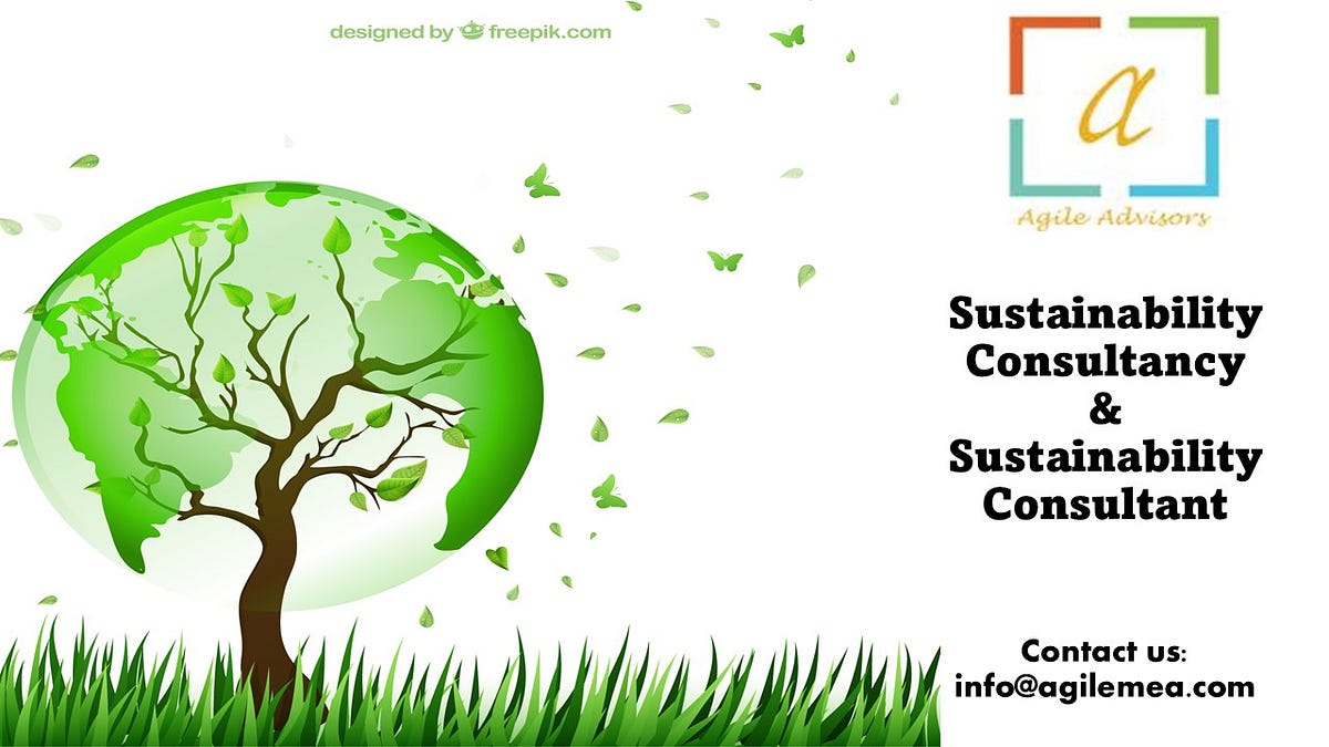 Unlock the Power of Sustainability with Expert Consultancy | by rohit ...