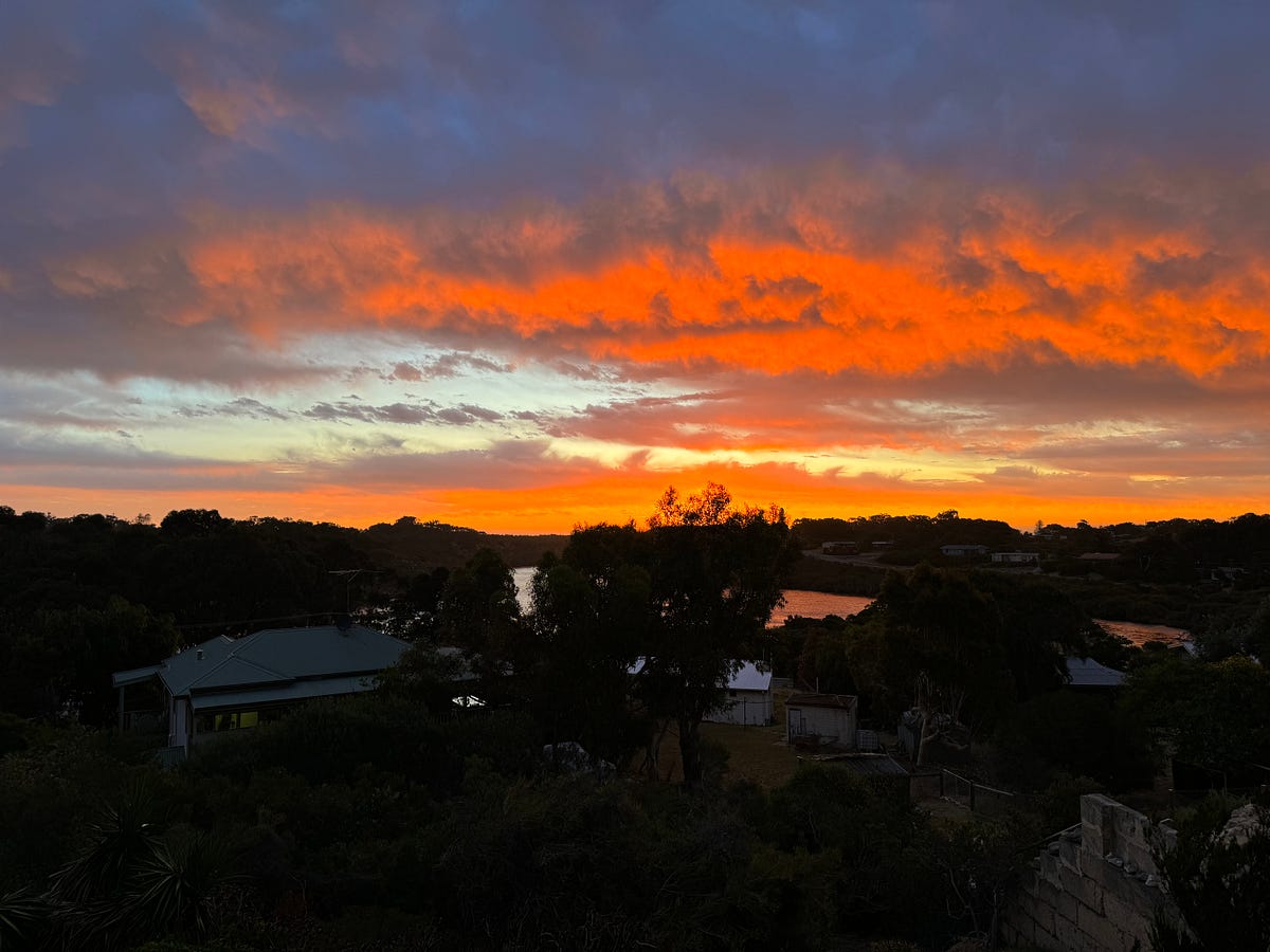 Moore River — And Seeking A Sanctuary | by Leady | Dec, 2023 | Medium