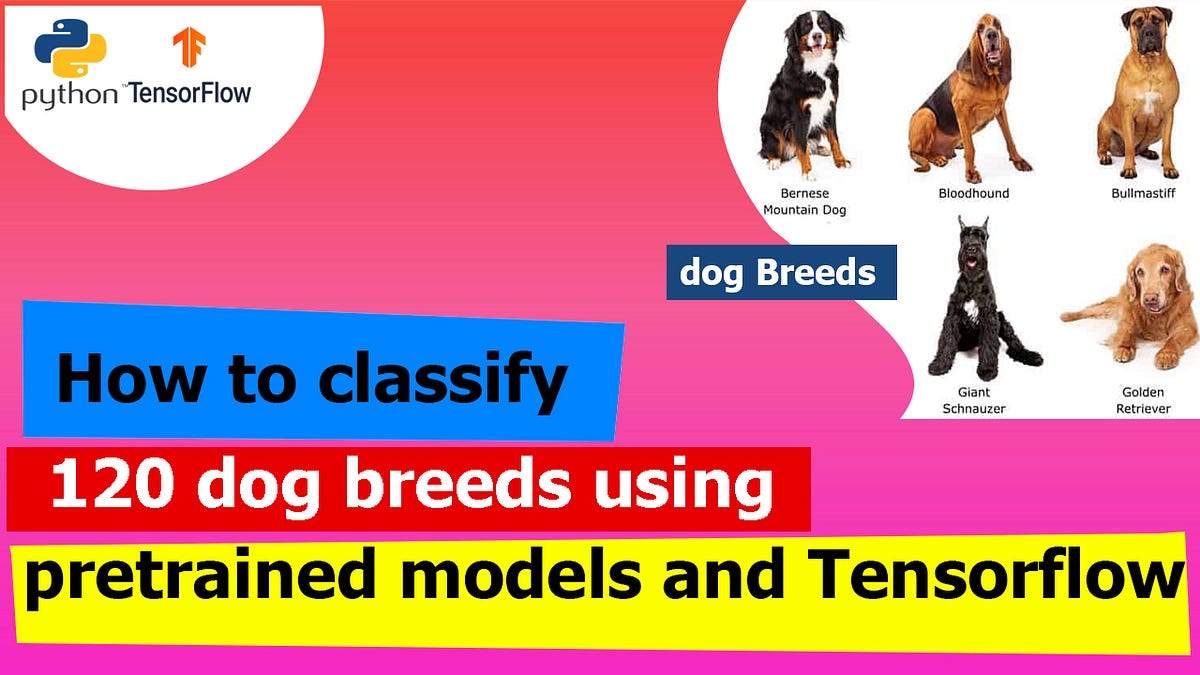120 Dog Breeds, more than 10,000 Images: Deep Learning Tutorial for ...