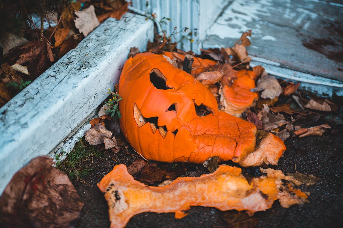 Something About Pumpkins. What I learnt from the mediums this… | by ...
