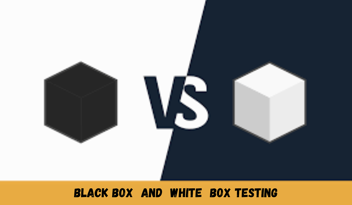 Black Box Testing vs. White Box Testing in Machine Learning | by 141 ...