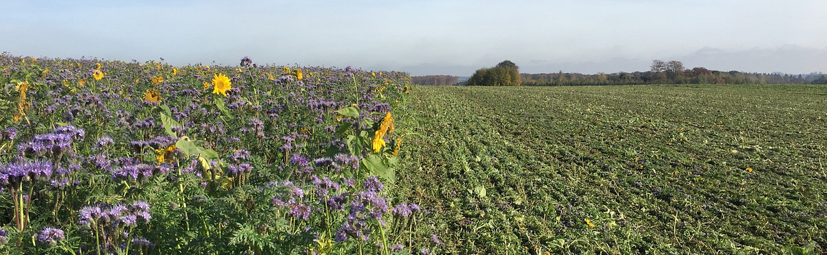 The farm must go on!. Farms that sequester carbon deliver… | by Chuck ...