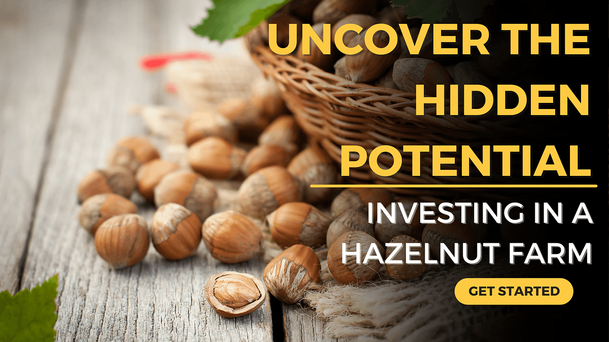 Uncover the Hidden Potential: Investing in a Hazelnut Farm | by Brogan ...