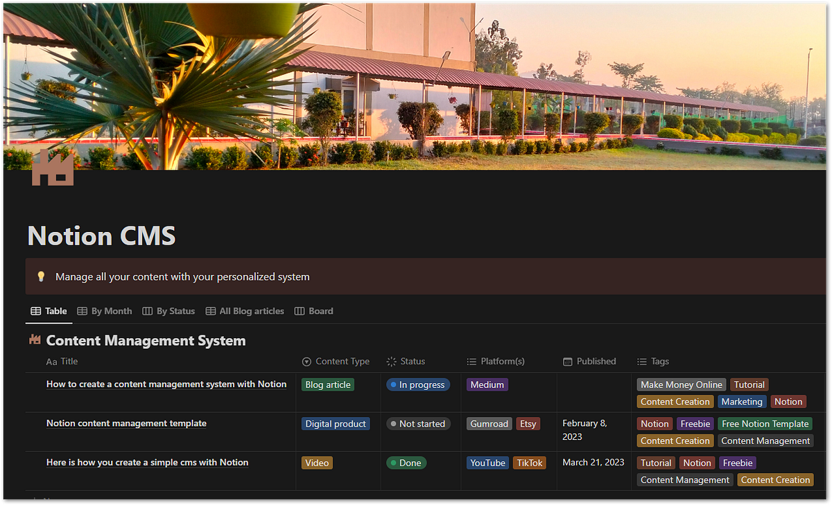 How to Create a Content Management System for Content Creators in Notion | by xeladu | Level Up ...