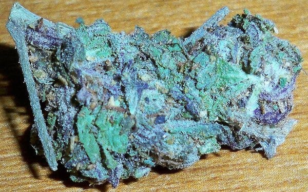 Blue Diamond Weed