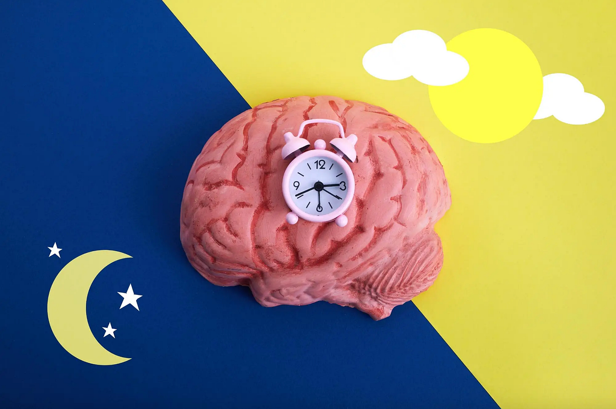 what-is-biological-clock-the-biological-clock-often-referred-to