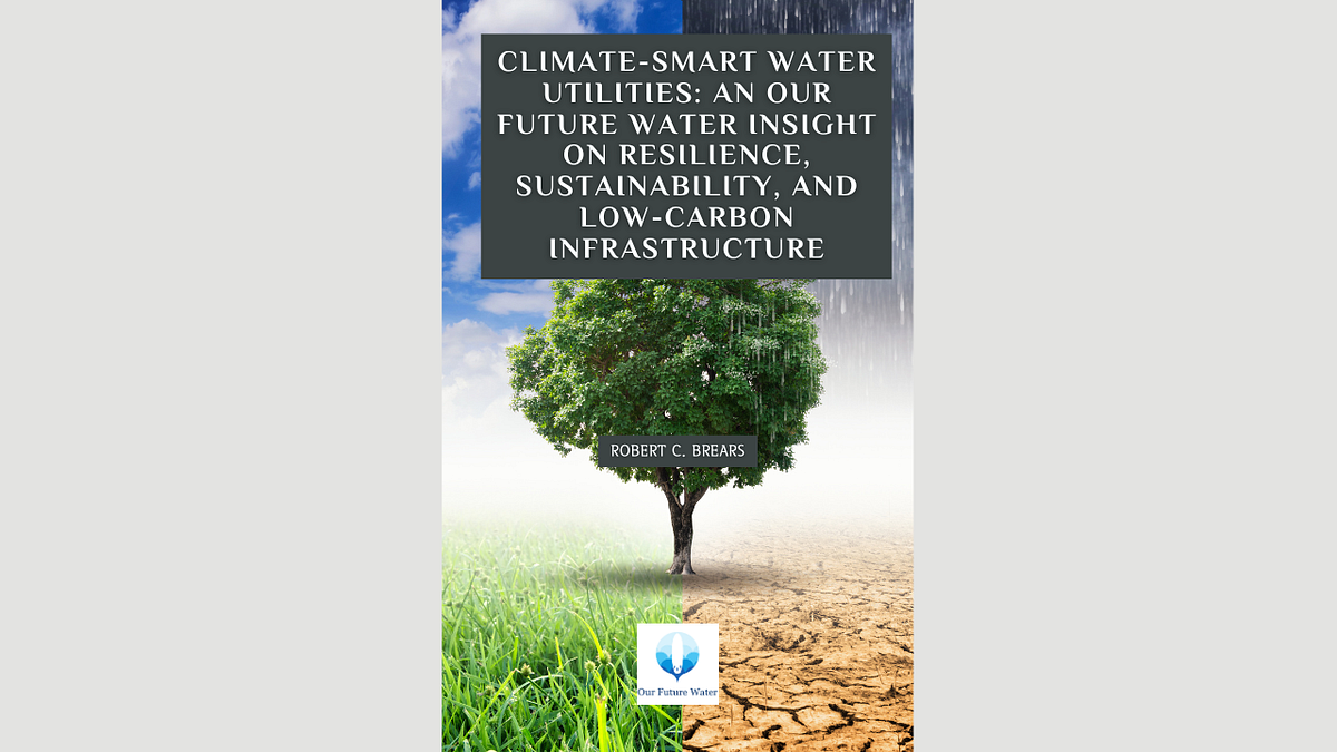 Climate-Smart Water Utilities: An Our Future Water Insight on ...