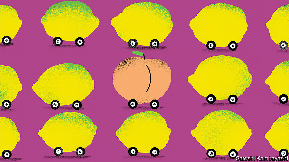 Lemon and Lemonade. Hi, we are Young VC Digest. We are a… | by Young VC Digest | Medium