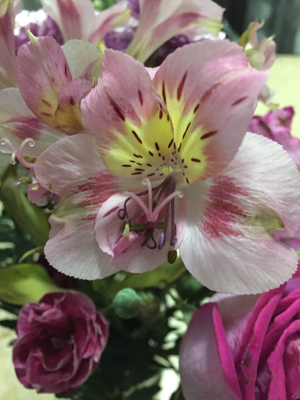 •Love yourself first, then the rest• | by Julieta Tapia | Medium