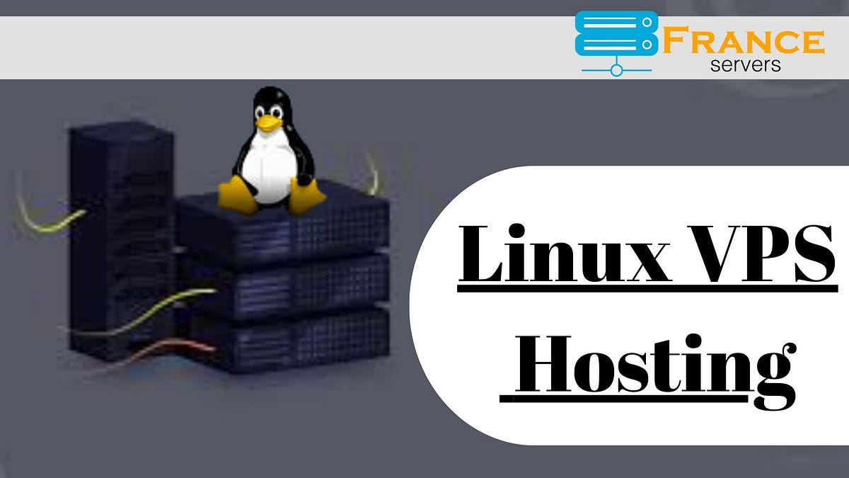 Mastering the Digital Realm with Linux VPS Hosting Offerings from France Servers ...