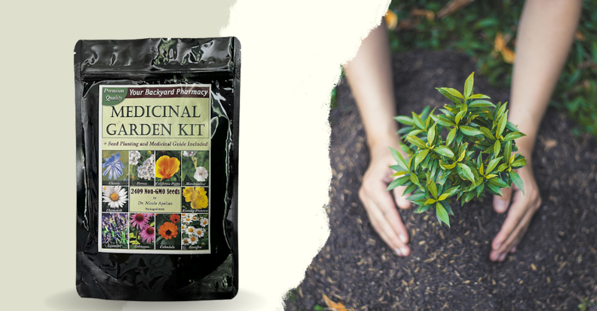 The Medicinal Garden Kit: Your Path to Natural Health | by Teckinsight ...