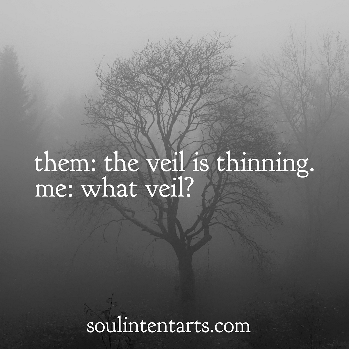 The Thinning Veil and Animism. Exploring soul relationships year-round ...