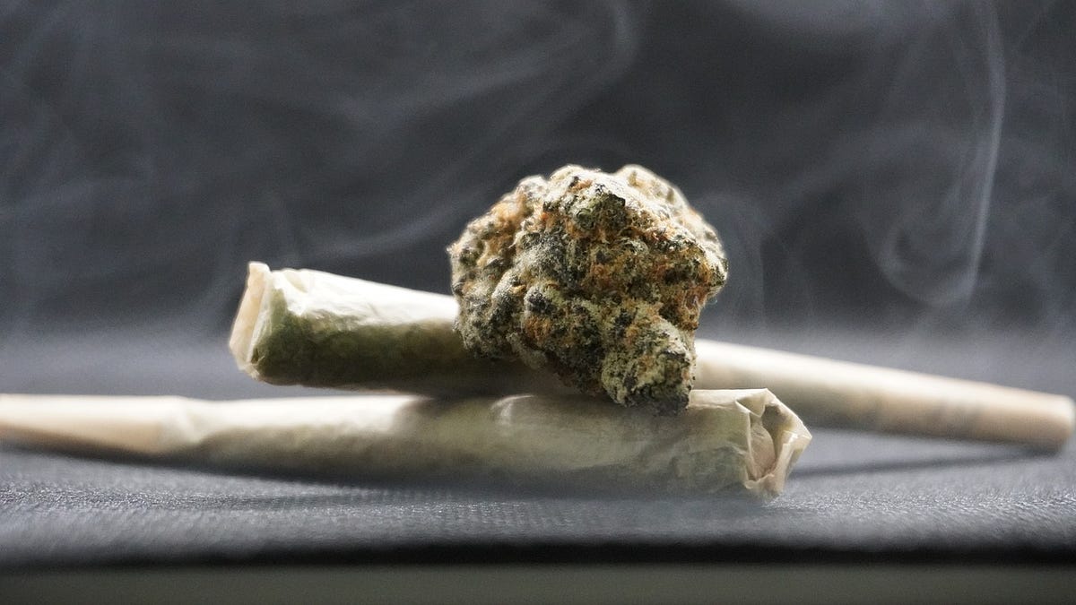 How to Combat Bad Breath Caused by Smoking Weed | by Como Fazer | Medium