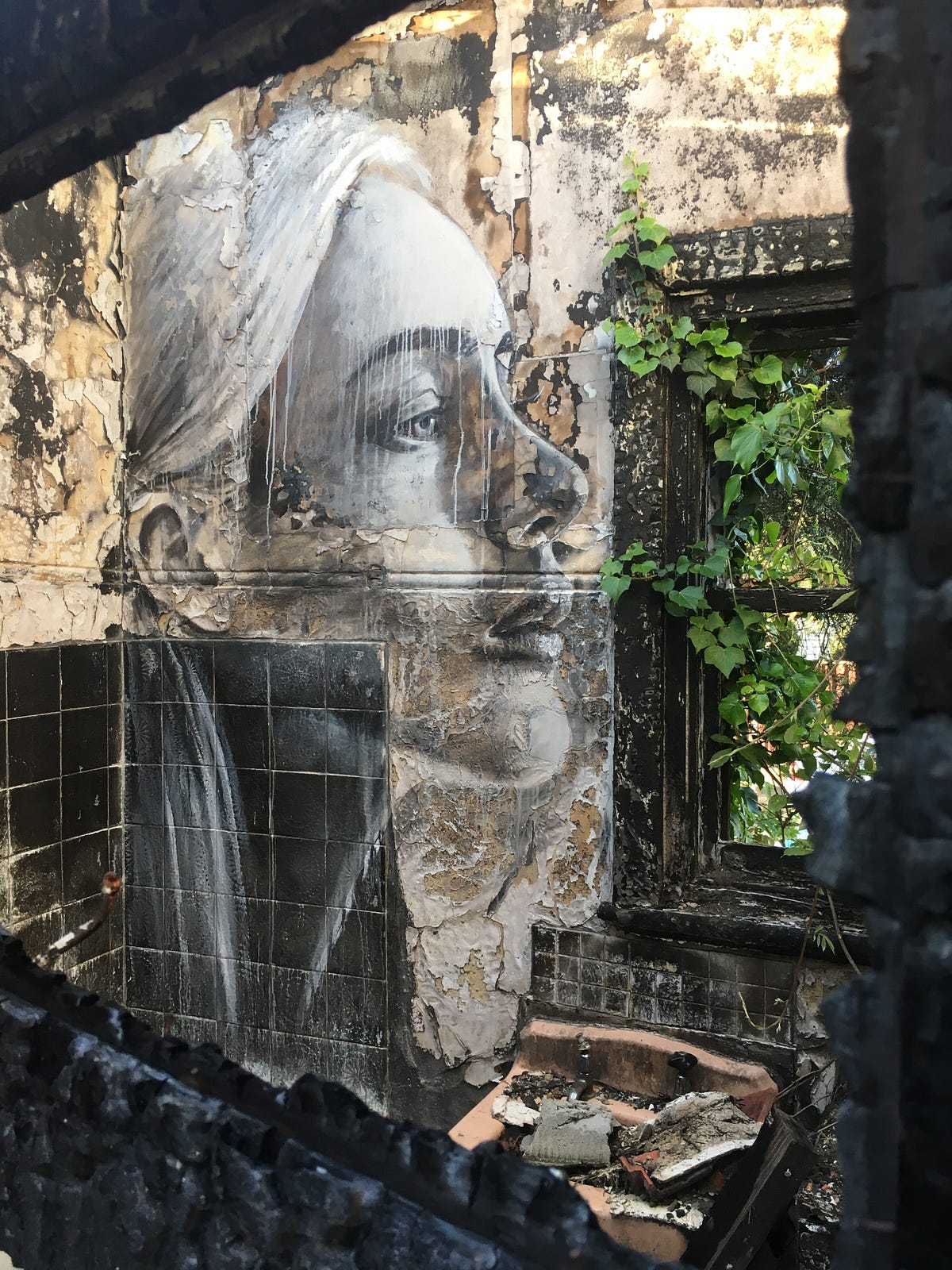 Words in Process. Festering words in the pit of my… | by Wild Flower ...